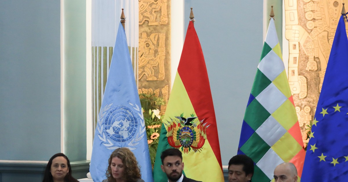 Extensión de coca subió en 2023 y llegó a 31 mil hectáreas; Gobierno ...