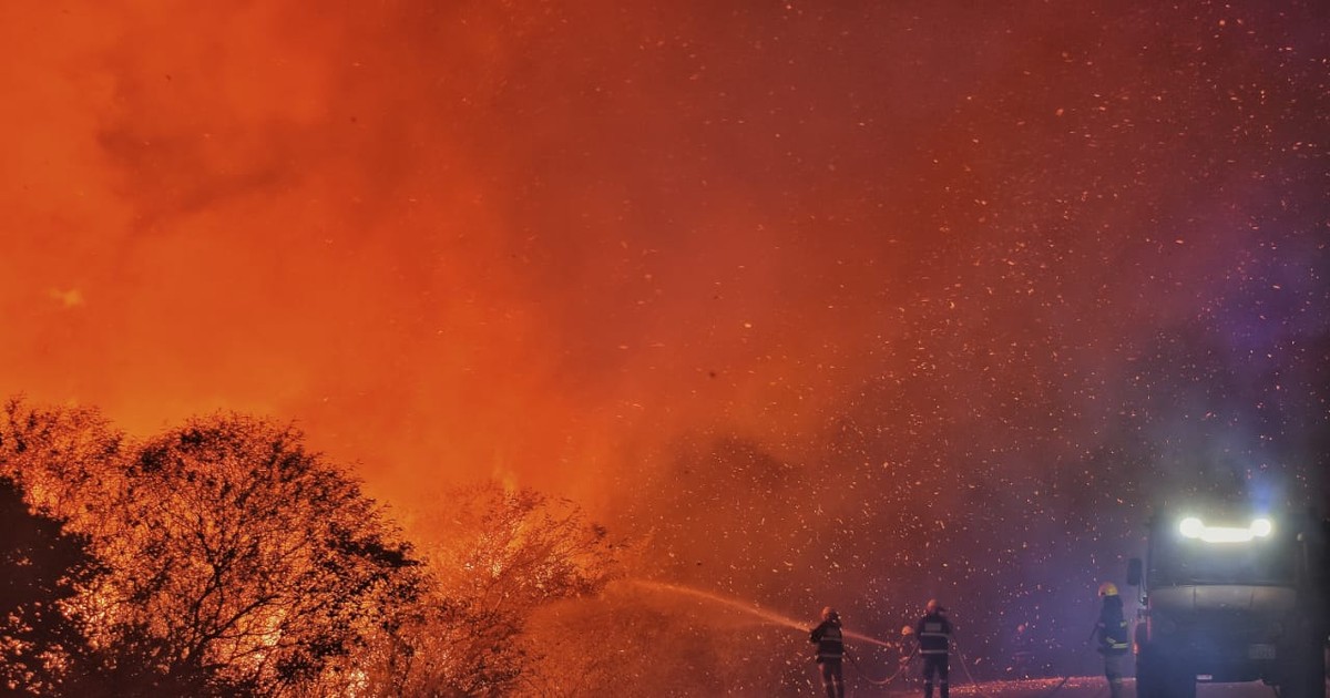 Plan contra incendios forestales: instalarán campamentos de control en ...