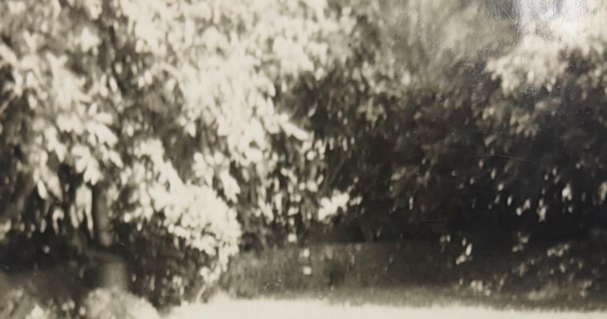 La extraordinaria carrera de Michele Dougherty, la primera "astrónoma ...
