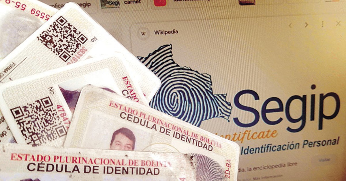 Segip denuncia a exfuncionarios que emitieron carnet en favor de ...